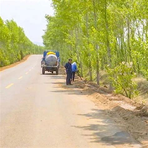 杨树岭乡：净化环境美化村庄乡村绿化苜蓿草