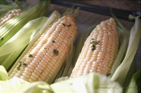 Because Of Madalene Grilled Corn In The Husk