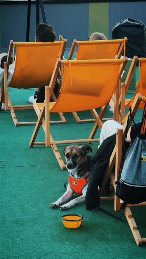 КІНОВЕЧОРИ НА ДАХУ 🎞️ Just In Cinema «Не травень місяць це саме про цей травень Брррррр 🥶