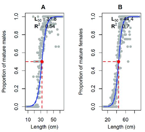 Maturity Ogive For A Males And B Females Of European Hake In The