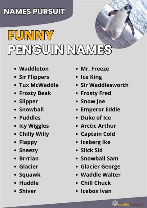 Funny Penguin Names Whimsical Naming Guide