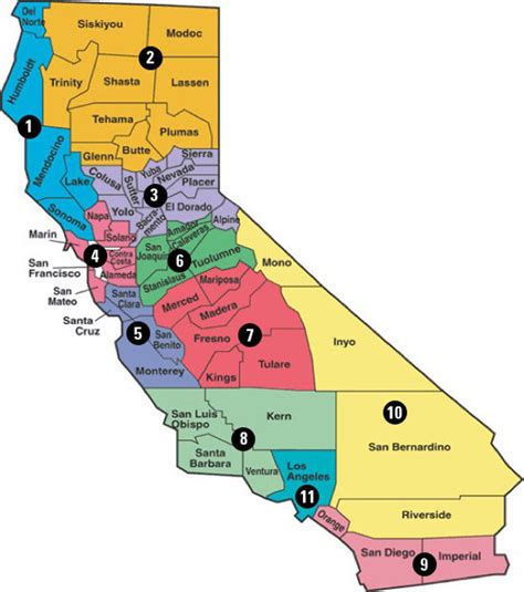 Local Councils Ccss