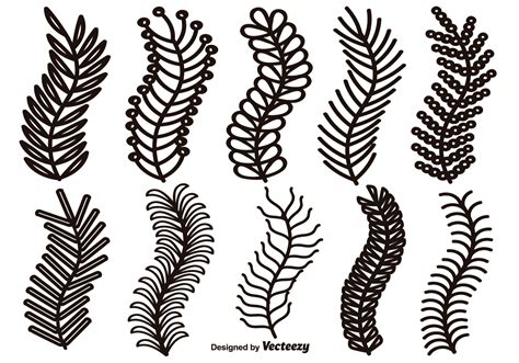 Vector Hand Drawn Line Borders Laurel Design Elements 116031 Vector