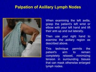Axillary Lymph Nodes Examination Pptx
