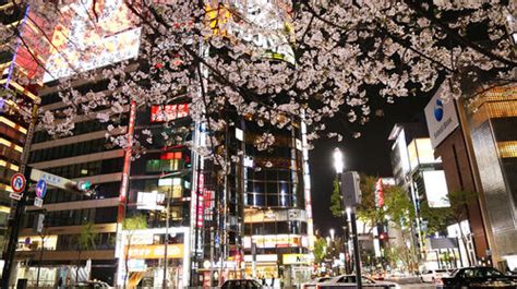 日本东京筑地市场浅草寺皇居银座台场海滨公园东京塔包车一日游【中文司机东京往返】线路推荐【携程玩乐】