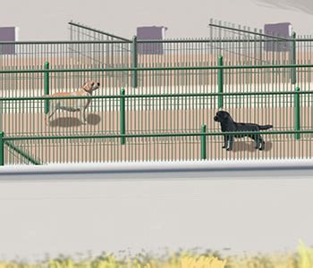犬舍总平面图设计图 施工总平面图布置图 小型犬犬舍建设图片 第4页 大山谷图库