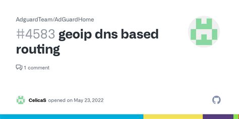 Geoip Dns Based Routing · Issue 4583 · Adguardteamadguardhome · Github