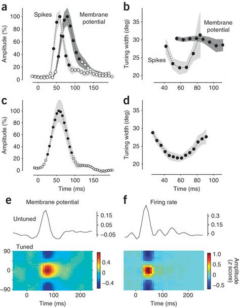Properties Of Single Orientation Responsesa Time Course Of Response
