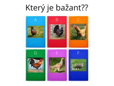 Wordwall Teaching Resources