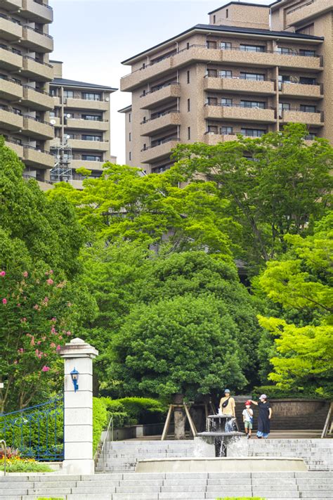 サン・ステージ緑園都市 東の街／高い意識で美観を保つ。成熟進む緑園都市の庭園マンション マンションと暮せば By Suumo