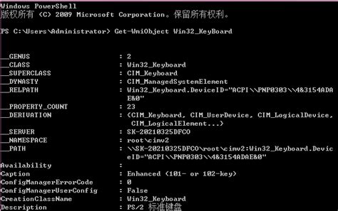 Windows编程系列：wmi Zhaotianff 博客园