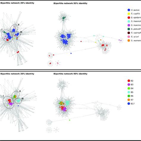 analysis of gene sharing using a bipartite network display the network