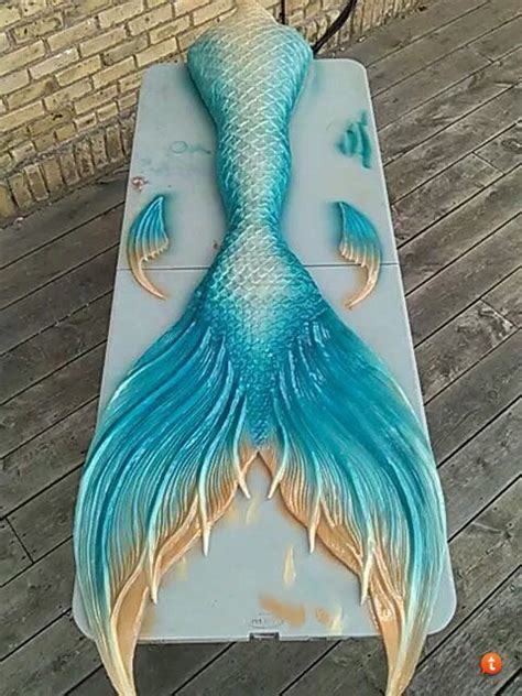 Finfolk Productions Anyone Ordered A Tail From Them I Just Did