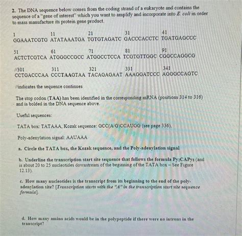 Solved 2 The DNA Sequence Below Comes From The Coding Chegg Com