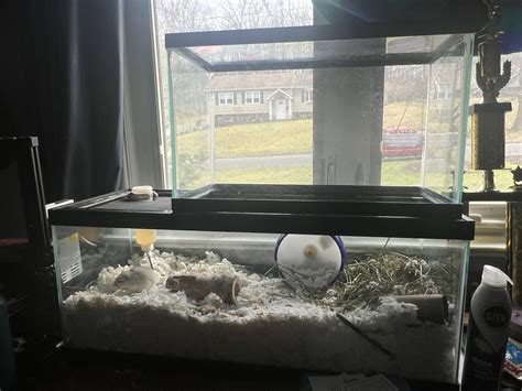 Gerbil Cage Help Rgerbil