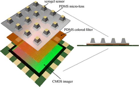 Figure 1 From Contact CMOS Imaging Of Gaseous Oxygen Sensor Array Semantic Scholar