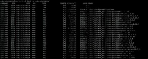 初学者 Linux Lsof 命令教程（15 个示例）