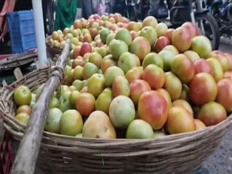 Tomato Price In Bihar Increase Budget Of Kitchen Deteriorated People