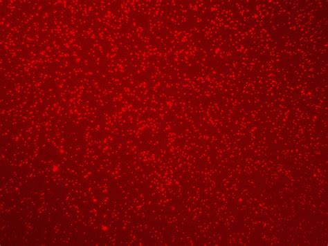 Putting Liquid Biopsies On Solid Ground Cancer Diagnosis From