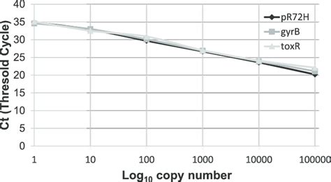 standard curves generated by plotting the cycle threshold values