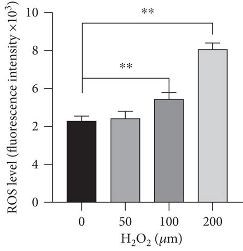 Oxidative Stress Induces Senescence Of HADSCs And MiR 125a 5p