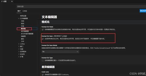 Vscode、hbuilderx保存代码自动格式化配置vscode保存时自动格式化 Csdn博客