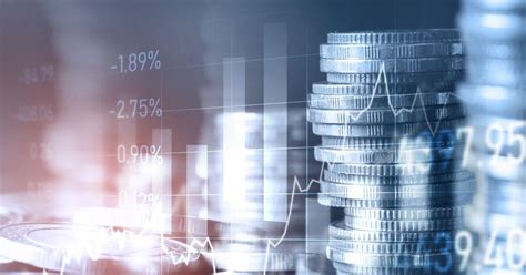 Metas De Inflação Função De Reação Do Banco Central E Taxa De Juros No