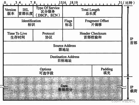 网络协议分析期末复习（一）网络协议分析期末考试 Csdn博客