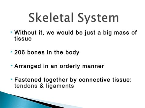 Chapter 3 Anatomy And Physiology PPT