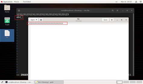 Linux中常用的文件管理命令linux文件管理命令 Csdn博客