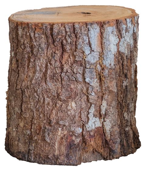 World Tree Png