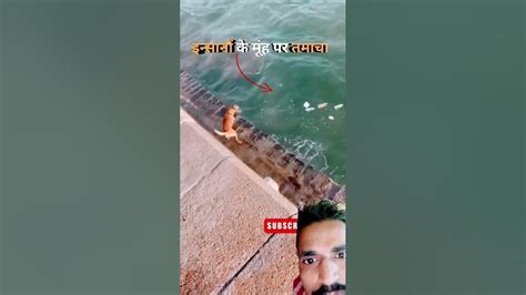 Ensan Ke Kutte Se Kuch Shikhna Chahiye Youtube