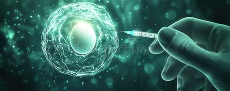 Stylized Illustration Of In Vitro Fertilization Process With A Syringe
