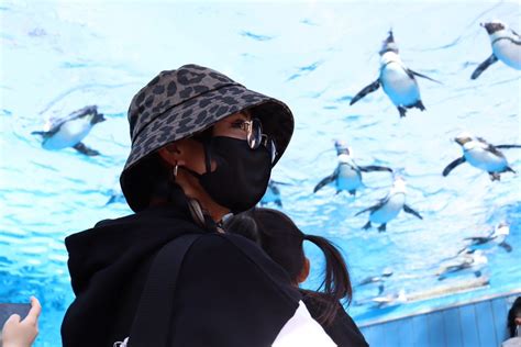 タイセイ 5月から社会人です on Twitter RT aibaaiai 一眼レフ欲しくなるなぁ サンシャイン水族館 空飛ぶ