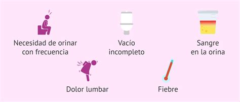 Infecciones Urinarias Causas Síntomas Y Tratamientos