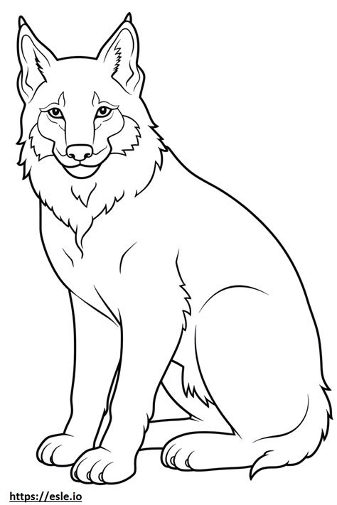 Amigável Ao Lince Dos Balcãs Para Colorir
