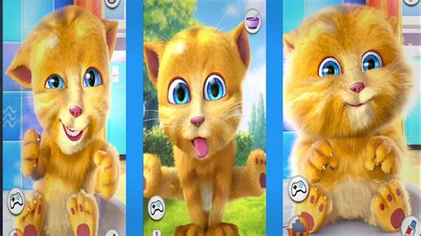 Talking Ginger 🐈😸🤗🌶️🌶️🍅🌽🍍🍓🍅🥐🥨🍉🌽🍒🌶️🥝🐟🍗🍐🍑🍊🥝🍞🥞🐠🐠🌭 Youtube
