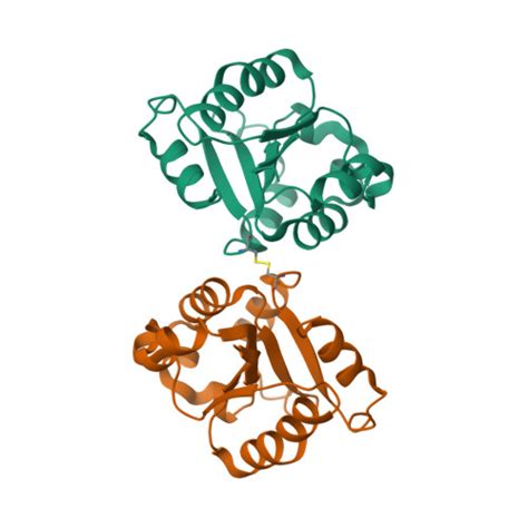 Rcsb Pdb 7fcl Zebrafish Sigirr Tir Domain