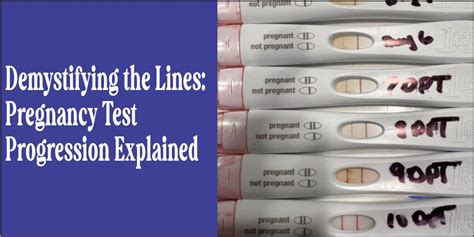 Demystifying The Lines Pregnancy Test Progression