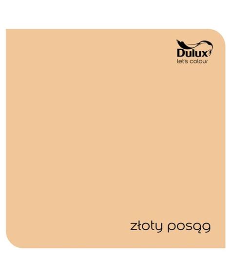 TESTER farba lateksowa Dulux Kolory Świata Złoty Posąg l Bricomarche pl