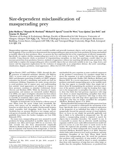 Pdf Size Dependent Misclassification Of Masquerading Prey