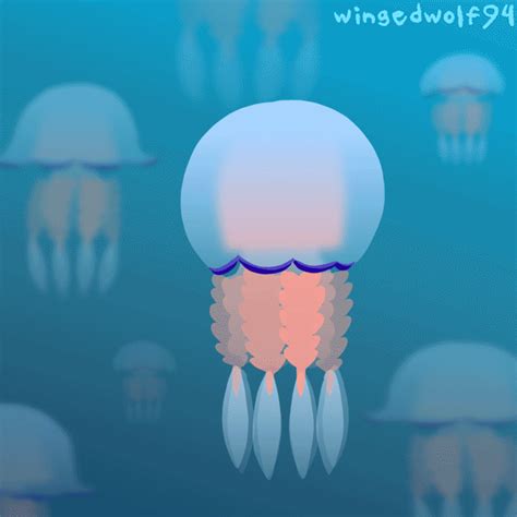 Wingedwolf94 Jellyfish Animated