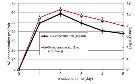 Iaa Production By Pseudomonas Sp In Submerged Culture With Tryptophan Download Scientific