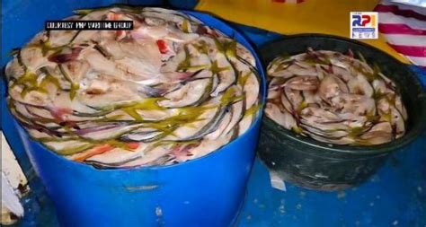 Mahigit 300 Kilo Ng Iba T Ibang Klase Ng Isda Nasabat Ng PNP Maritime