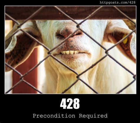 428 Precondition Required - HTTP status code and dogs!