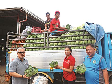 Find Luzon Veggies On Nvat Online Platform Malou Talosig Bartolome