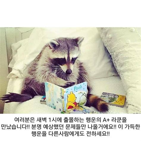 Instiz