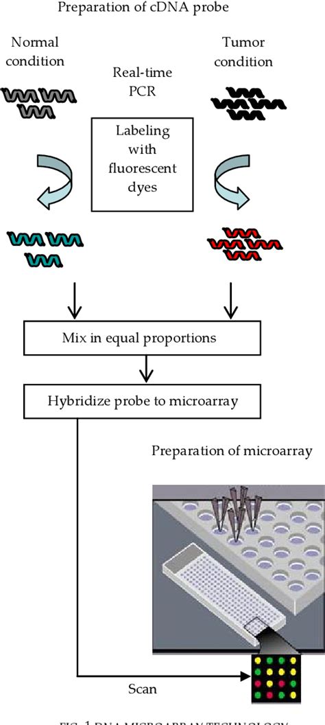 Figure 1 From Dna Microarray Data Classification Via Haralicks