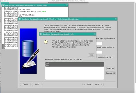 Database In Memory Virtual Ip Address Is Not Configured For Cluster Node