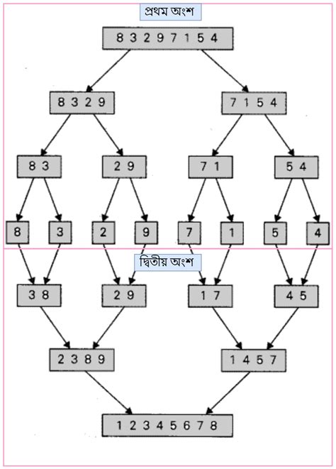 সরট মরজ সরট Merge Sort অযলগরদম শরফ হসন